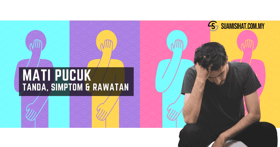 Mati Pucuk - Tanda, Simptom, Tahap & Rawatan 2024