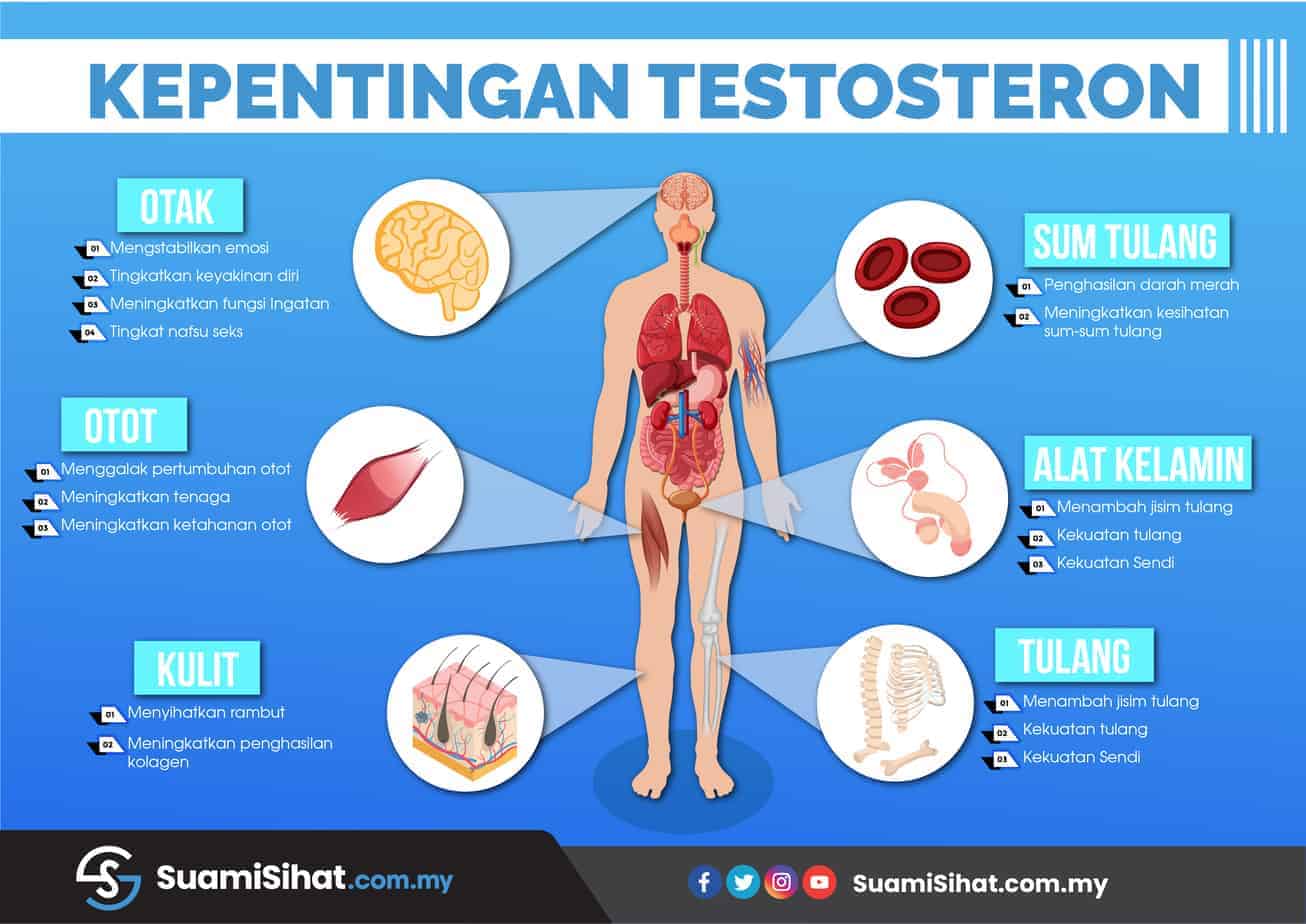 Cara Pekatkan Air Mani – Tips Suami Banyakkan Air Mani & Sperma