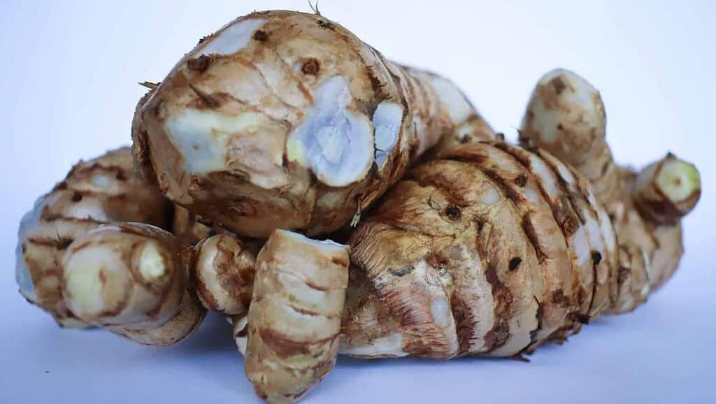 Kunyit Hitam - Ini Semua Khasiat Yang Anda Wajib tahu!